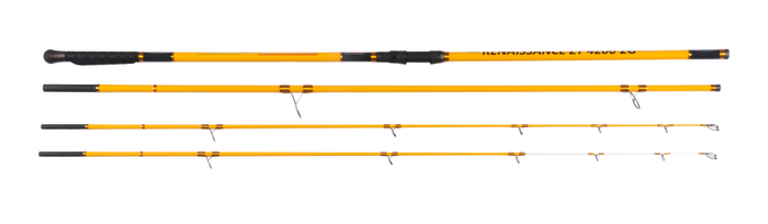 Blackrock 2G Surf Fishing Rods – Shut Up And Fish Ltd